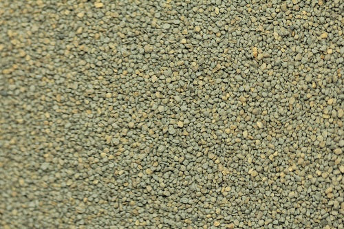 Green Scene Track Ballast - 2mm Scale – Home & Distant Models